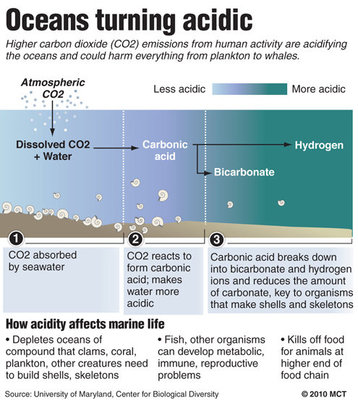 Oceans choking on CO2, face deadly changes – Desdemona Despair